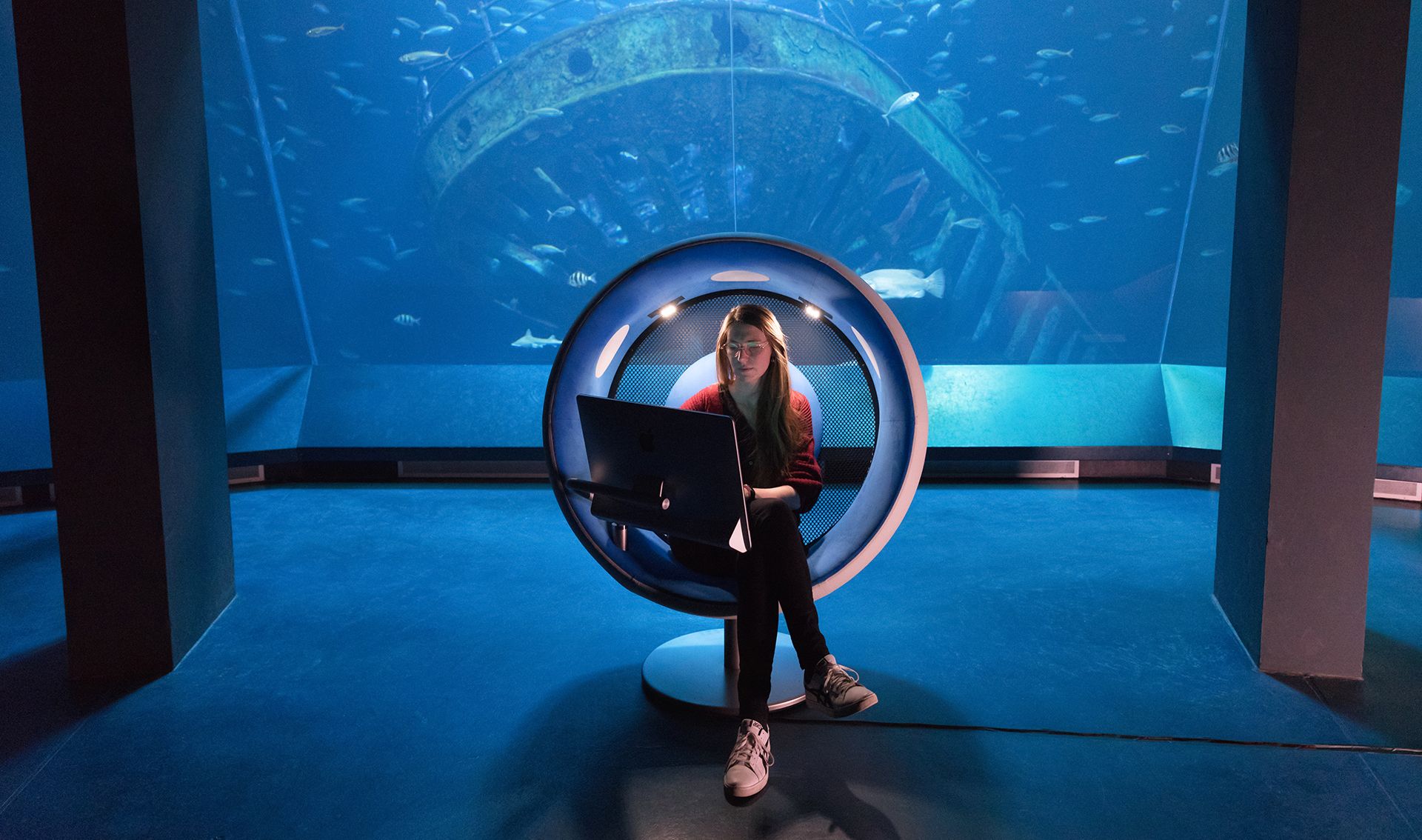 Deutsches Meeresmuseum ermöglicht Eintauchen in die ...