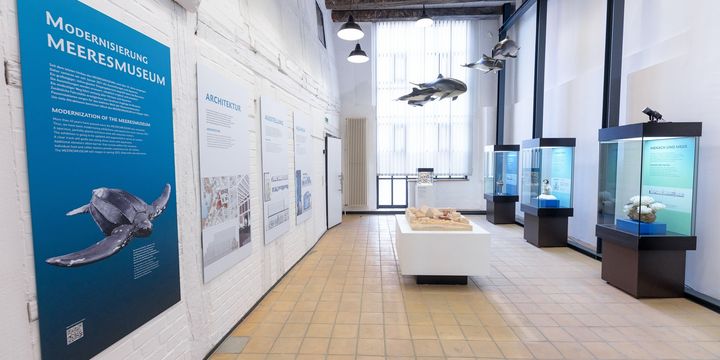 Stiftung Deutsches Meeresmuseum