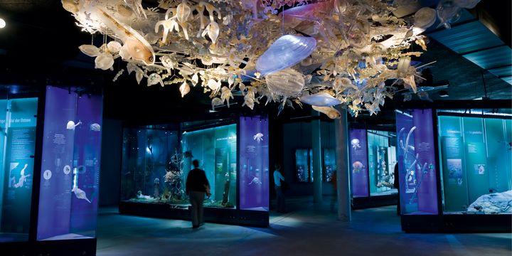 Stiftung Deutsches Meeresmuseum