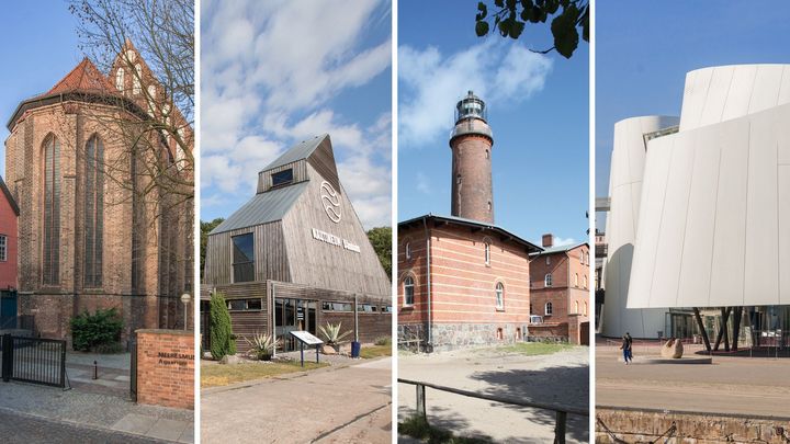 Stiftung Deutsches Meeresmuseum