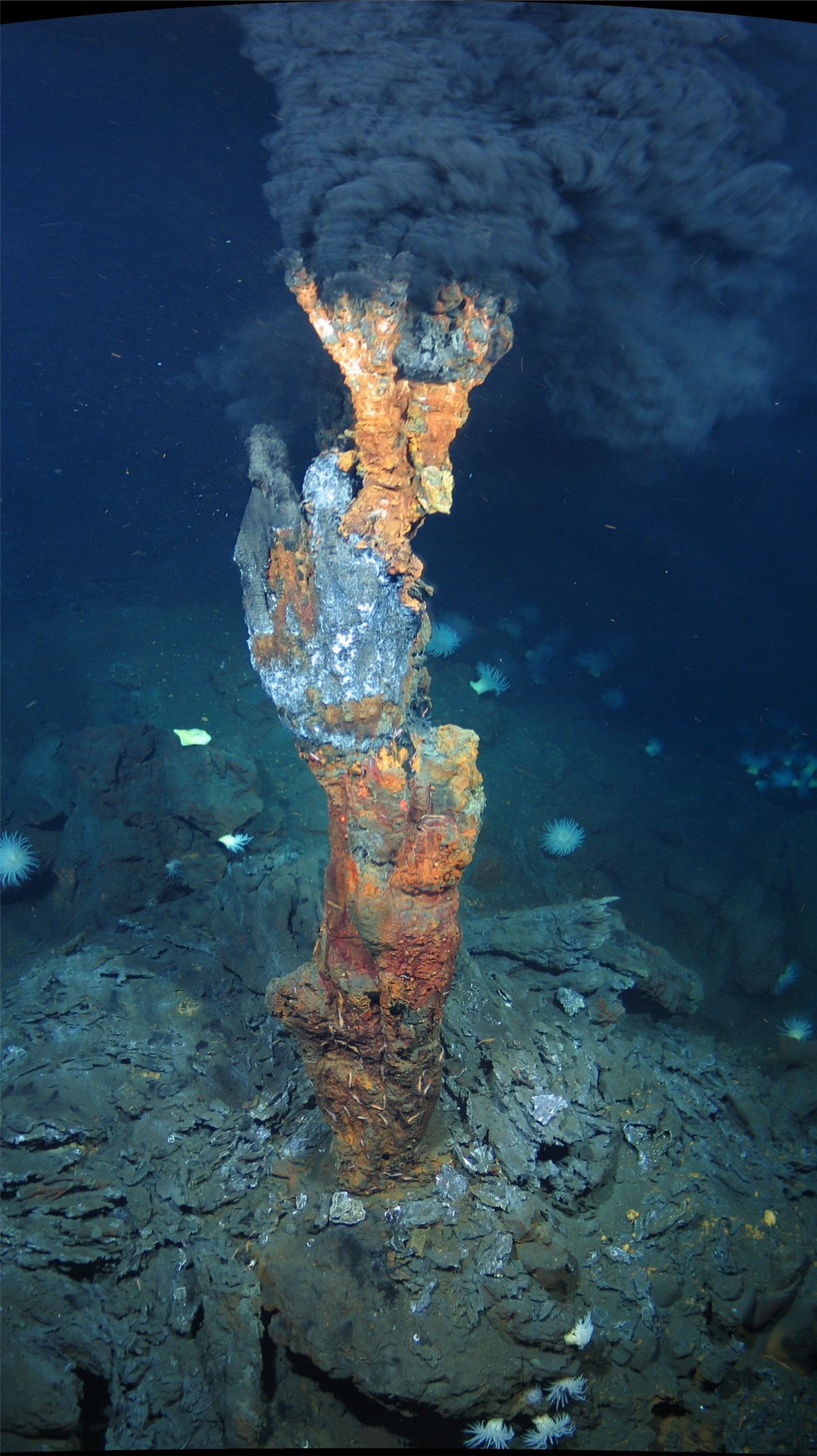 Tiefseeaufnahme vom Schwarzen Raucher für Sonderschau im MEERESMUSEUM