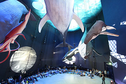 Stiftung Deutsches Meeresmuseum