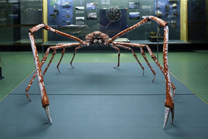 Press Photos "Expedition Tiefsee"